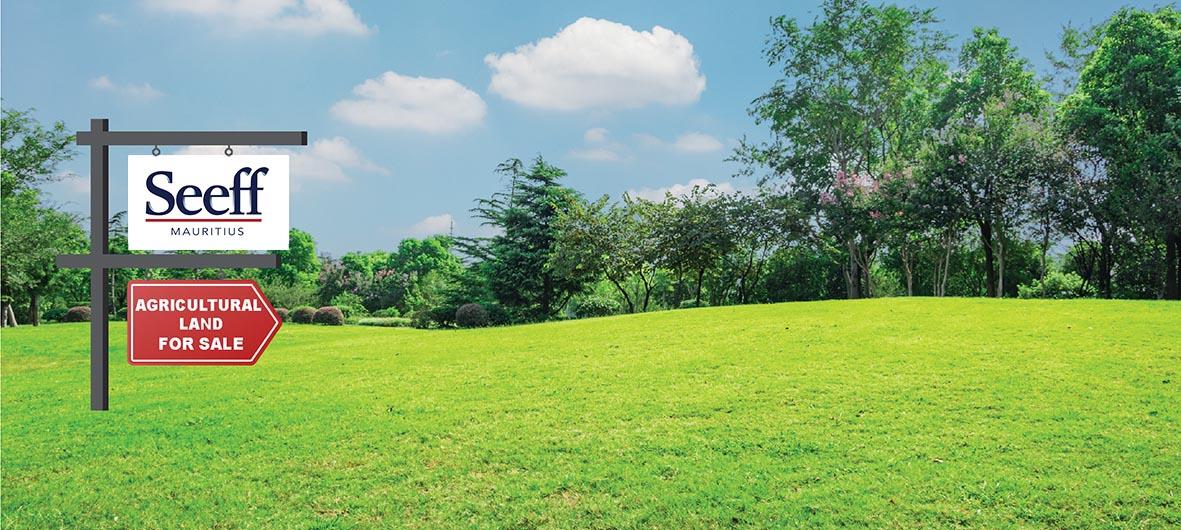 Large agricultural plot in L'aventure - SEEFF Mauritius